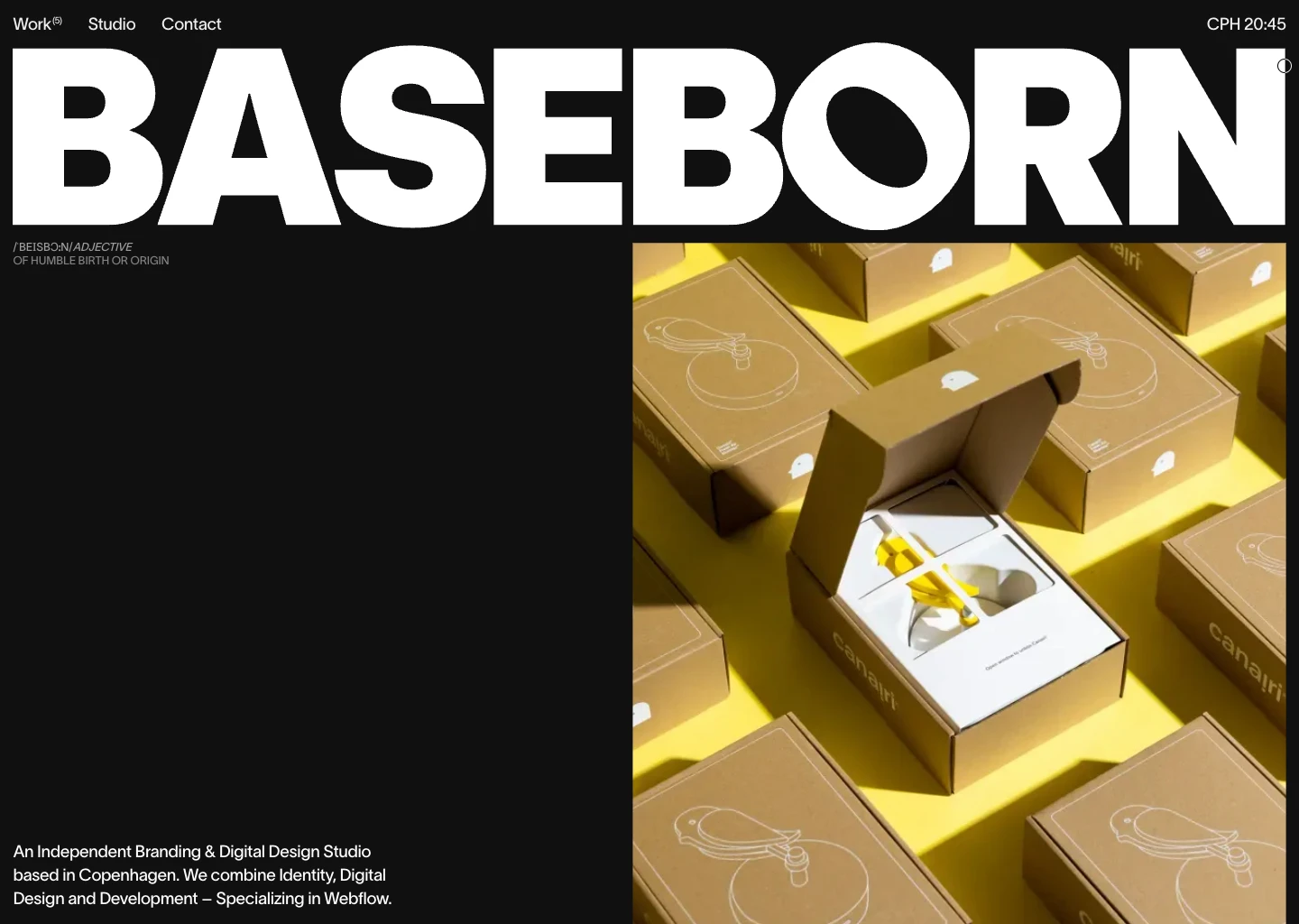 BASEBORN - landing.love