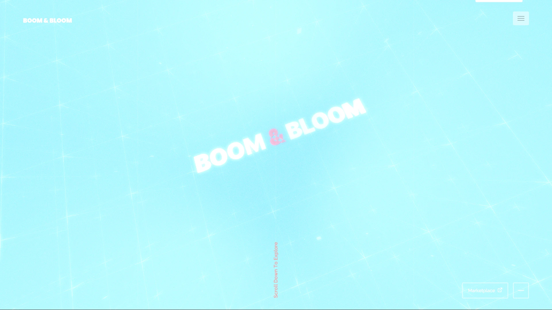 Boom & Bloom - landing.love