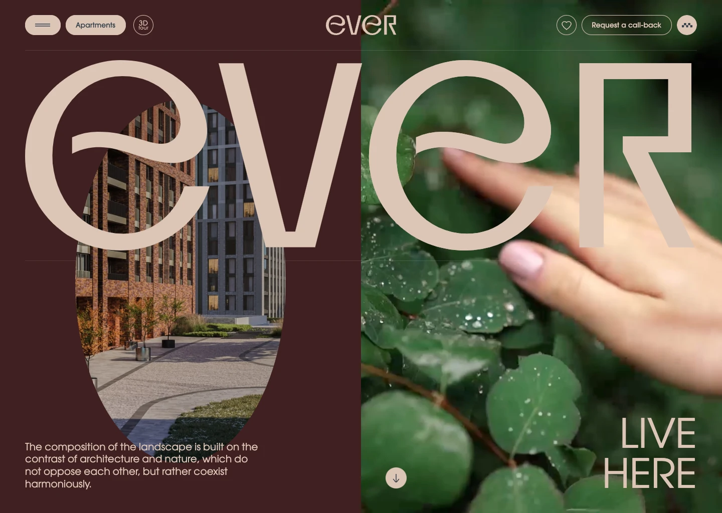Ever Live Here - landing.love