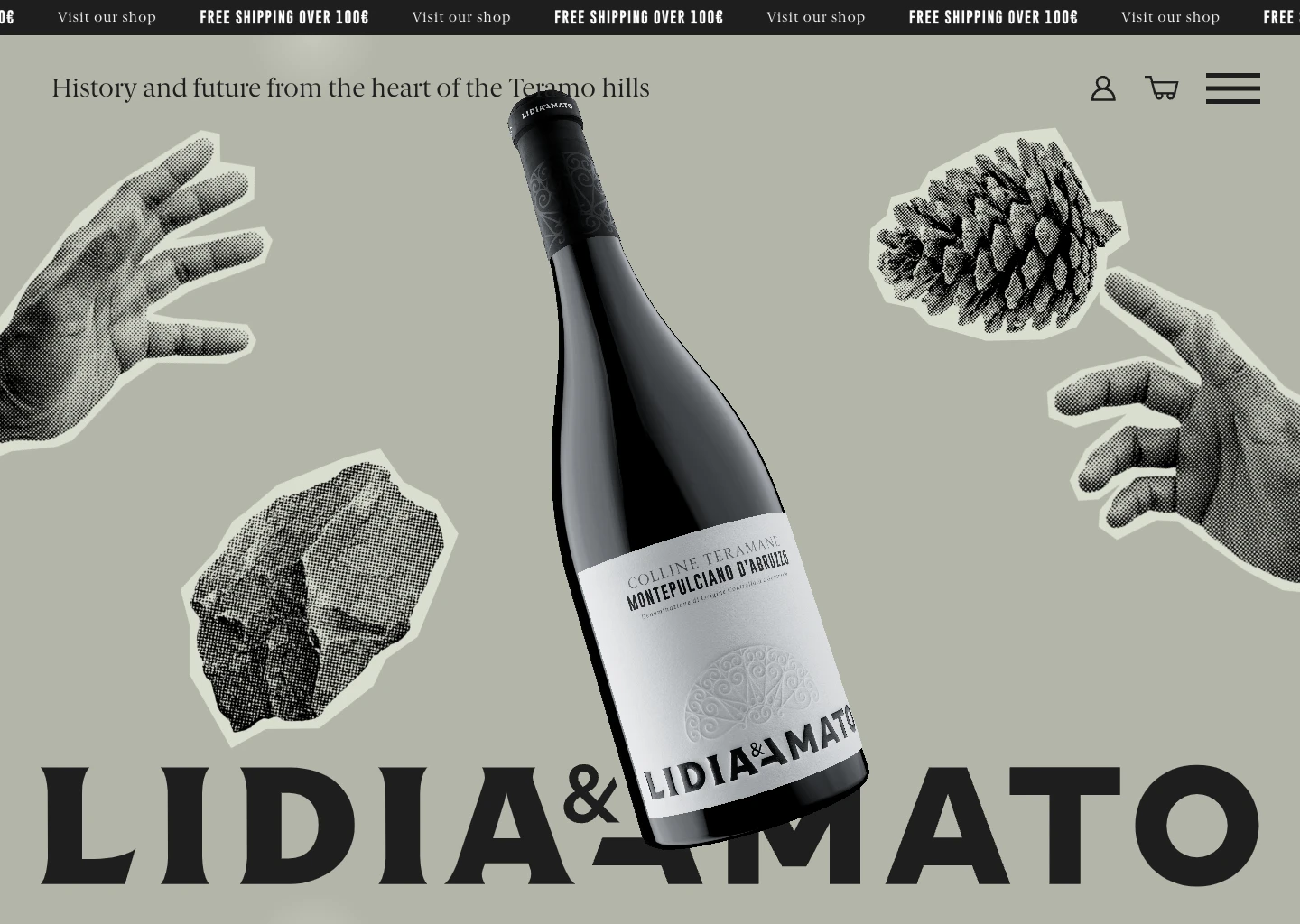 Lidia e Amato - landing.love