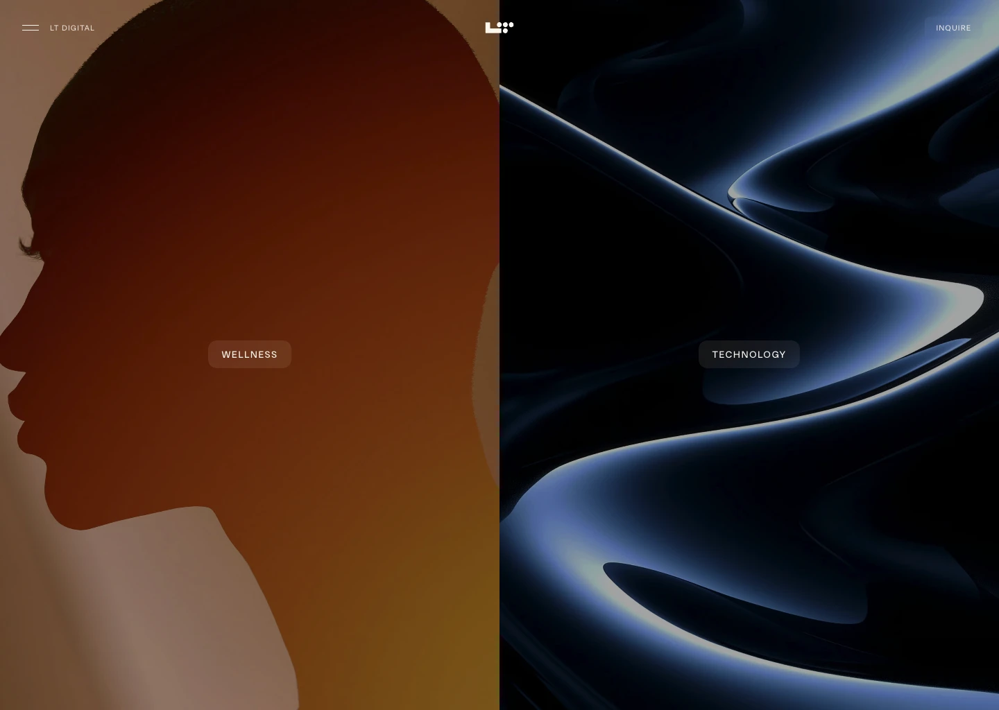 LT Digital Website Examples For Your Inspiration - landing.love