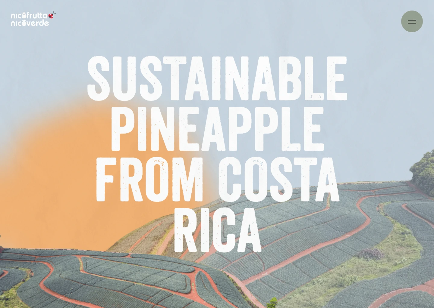 Nicofrutta Website Examples For Your Inspiration - landing.love